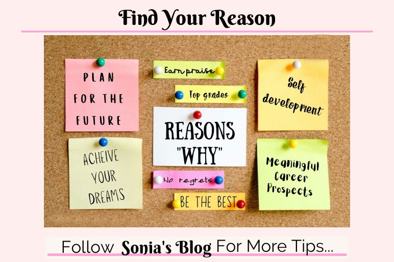 Find Your Reason - Sonia Rendon